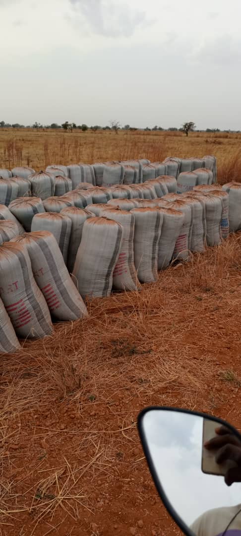 Farmers Day: The agony of rice farmers in the Builsa South Constituency ...